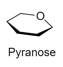 Solved: What is the difference between pyranose and furanose rings?