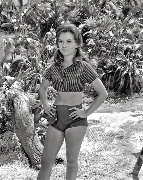Dawn Wells In 2025 Actresses American Actress Classic Actresses