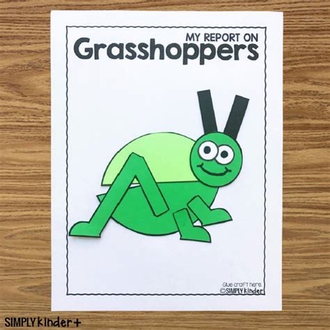 Grasshopper Craft Simply Kinder Plus
