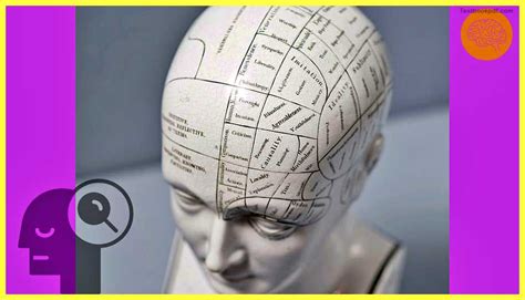 Modularity And Cognitive Neuropsychology