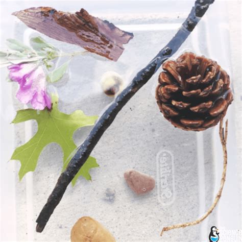 Beyond Sink Or Float 10 Ideas For Teaching Relative Density The Science Penguin