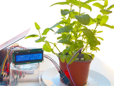 Plant Monitor Iaac Blog