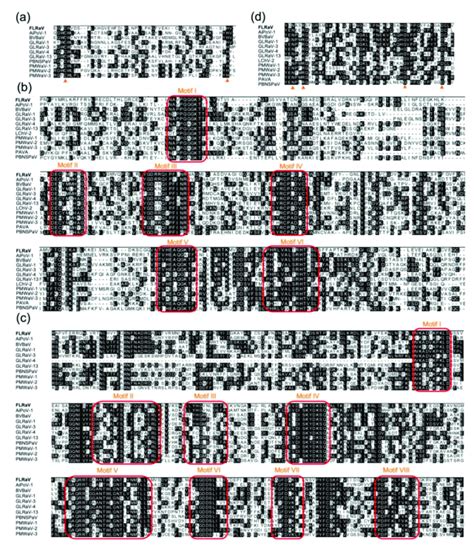 Multiple Alignments Of Flrav Open Reading Frames Orfs With Other Download Scientific Diagram