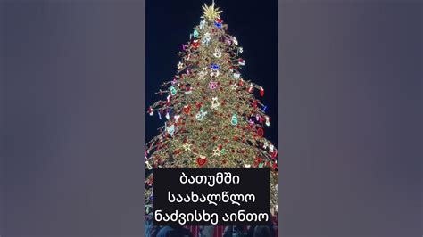 ბათუმში საახალწლო ნაძვისხე აინთო Youtube