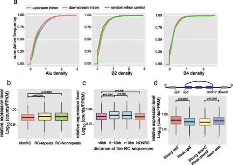 analysis of reverse complementary sequences and repeat elements for