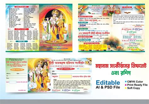 Liflet Plp Shorif Art