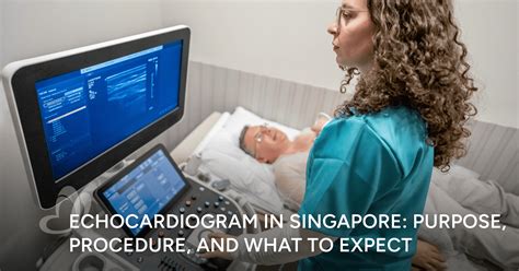 Echocardiogram In Singapore Purpose Procedure And What To Expect Thomson Medical