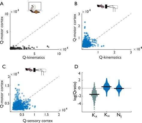 neural population dynamics in motor cortex are different for reach and