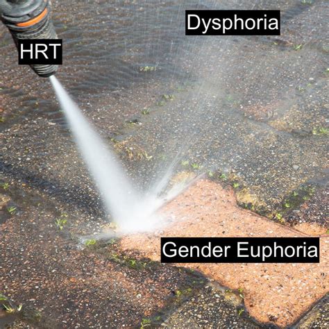 Set Up My First Hrt Appointment In Three Weeks I Start R