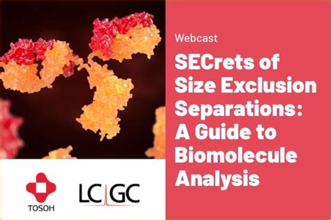 Secrets Of Size Exclusion Separations A Guide To Biomolecule Analysis
