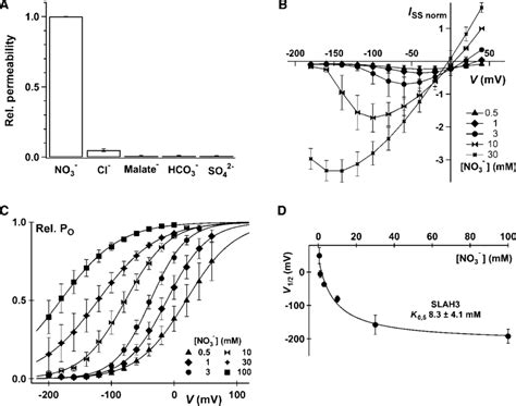 Selectivity And Nitrate Dependence Of Slah3 A Relative Permeability