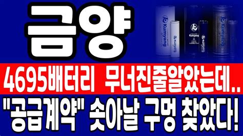 금양 주가전망 4695배터리 무너진줄알았는데 공급계약 솟아날 구멍 찾았다 Youtube