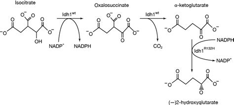 Relative Configuration Of 2 Hydroxyglutarate Mcat