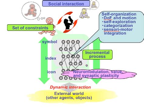 Developmental Robotics Semantic Scholar