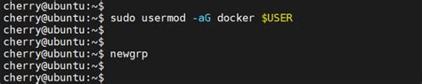 How To Install Docker On Ubuntu 2404 Step By Step Guide Cherry Servers