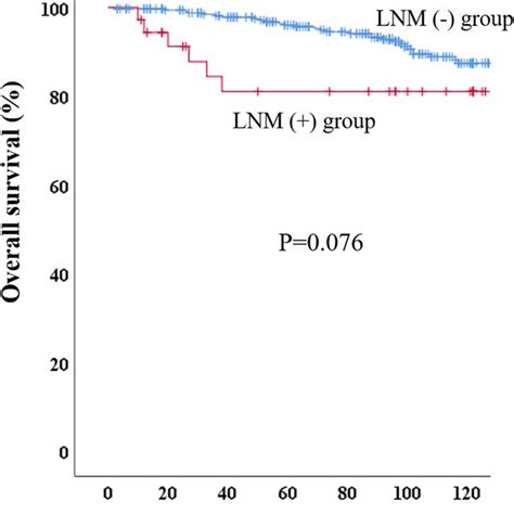 Overall Survival Rates In The Negative And Positive Lymph Node Download Scientific Diagram