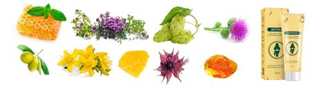 Крем АРТРЕЙД для суставов официальный сайт компании «ЗДОРОВ