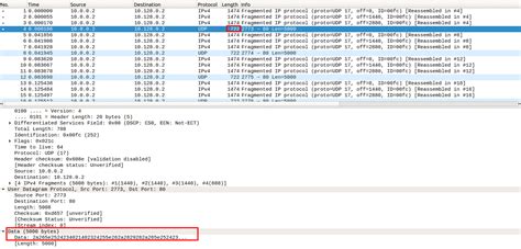 UDP Garbage Flood Knowledge Base MazeBolt