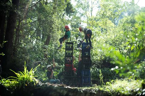 Baden Powell Activity Centre Adventure In The Heart Of Sydney