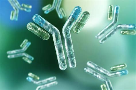 Recombinant Antibodies Southernbiotech