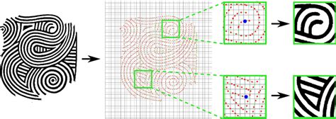 Illustration Of Our Patch Sampling Strategy We First Divide The Image