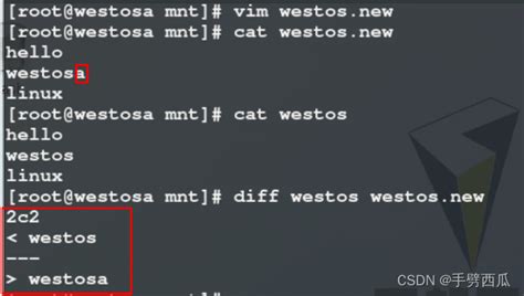 Shell中的常用基础命令shell Sort Rn Csdn博客 Shell中的常用基础命令shell Sort Rn Csdn博客