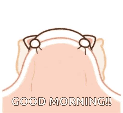 Good Morning S