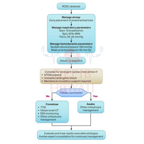 Aha Acls Algorithms 2020 2025 Updated Guidelines And Flowcharts