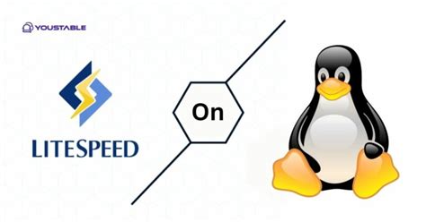 Step By Step Tutorial To Configure LiteSpeed On Linux Server