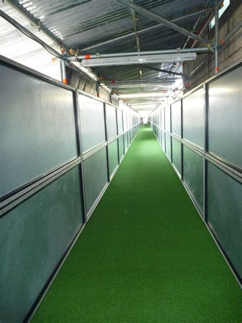Covered Walkways Connect Scaffolding