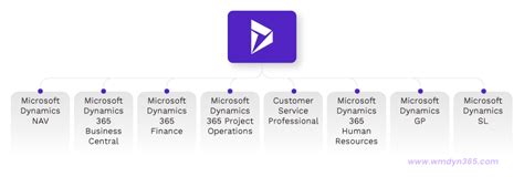 What Are The Major Microsoft Erp Products Of Microsoft Dynamics