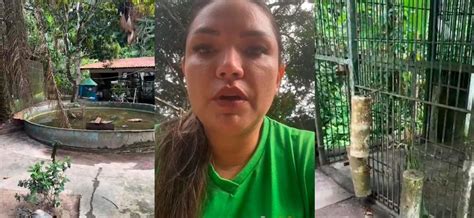 Deputada Joana Darc Foi Enganada Com Agenor Pelo Ibama E Expõe Tudo