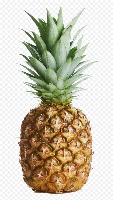Png Pineapple No Background Pineapple With No Backgroundpineapples
