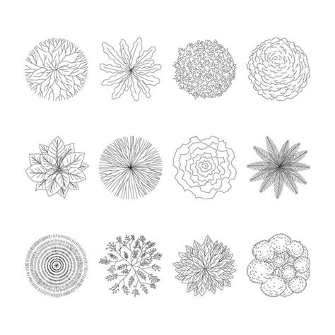 Tree Plan View Vector Art Icons And Graphics For Free Download
