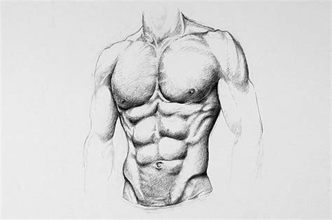 Six Pack Abs Drawing