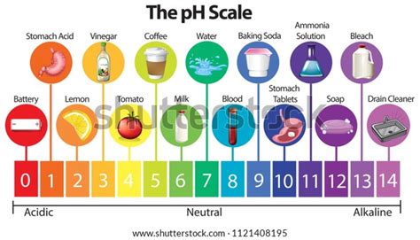 Science Ph Scale Illustration Stock Vector Royalty Free 1121408195 Shutterstock