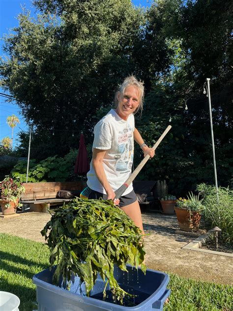 Meet Sarah Baer Canvasrebel Magazine