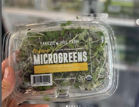 Fresh Microgreens For Sale