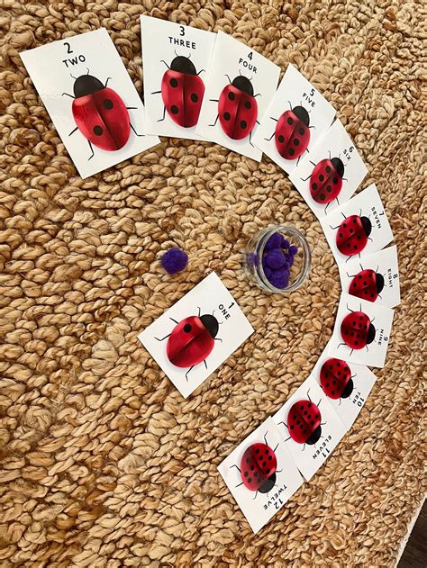 Ladybug Number Match Printable Game Ladybug Learning Montessori