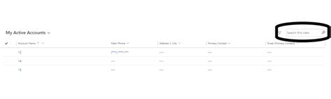 Microsoft Dynamics Quick Search Functionality CRM Services AhaApps