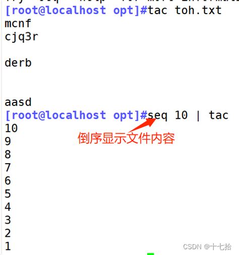 Linux基础:目录、文件操作与vi编辑器指南 Csdn博客 Linux基础:目录、文件操作与vi编辑器指南 Csdn博客