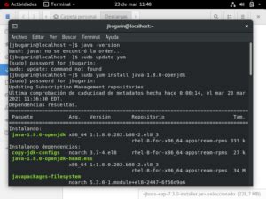 Instalar Java OPENJDK En Red Hat Enterprise Linux Telodijoelbuga