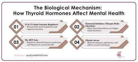 Thyroid Health And Mental Wellness