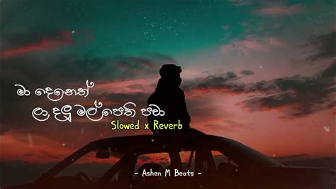 මේ දවස් වල Tik Tok එකෙ Trending සිංදුව [ Maa Deneth ] ලා දලු මල් පෙති පවා Slowed X Reverb