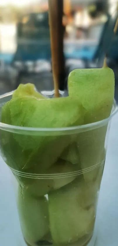 Fresh Green Melon Delight Free Download