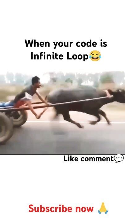 infinite loop😂😂😂 coding shorts funny programming tranding memes