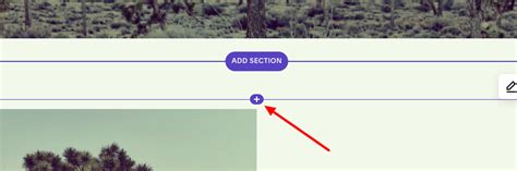 How To Install Modal Popup Donation Forms On Squarespace