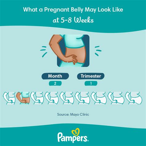 7 Months Pregnant Symptoms Pregnancy Weeks To Months How Many Weeks