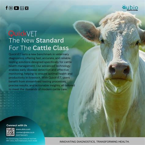 Quickvet Cattlediagnostics Healthmanagement Veterinarycare Livestock Quickvet