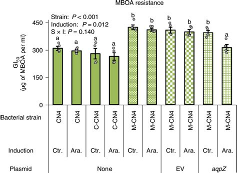 Figure 4 From Engineering Bacterial Symbionts Of Nematodes Improves